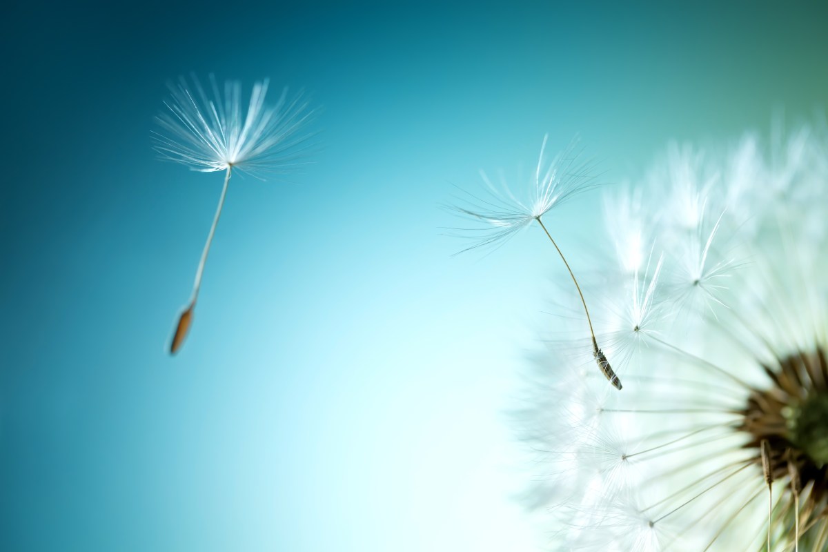 How to Spot (a Lack of) Alignment during Team Meetings | LeadershipWatch